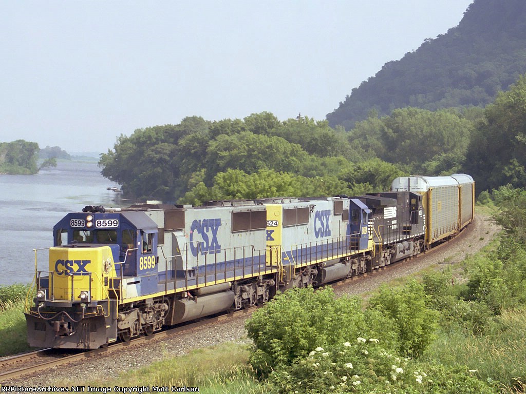 CSX 8599
